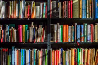 21 Captivating Reading Statistics and Facts for 2024