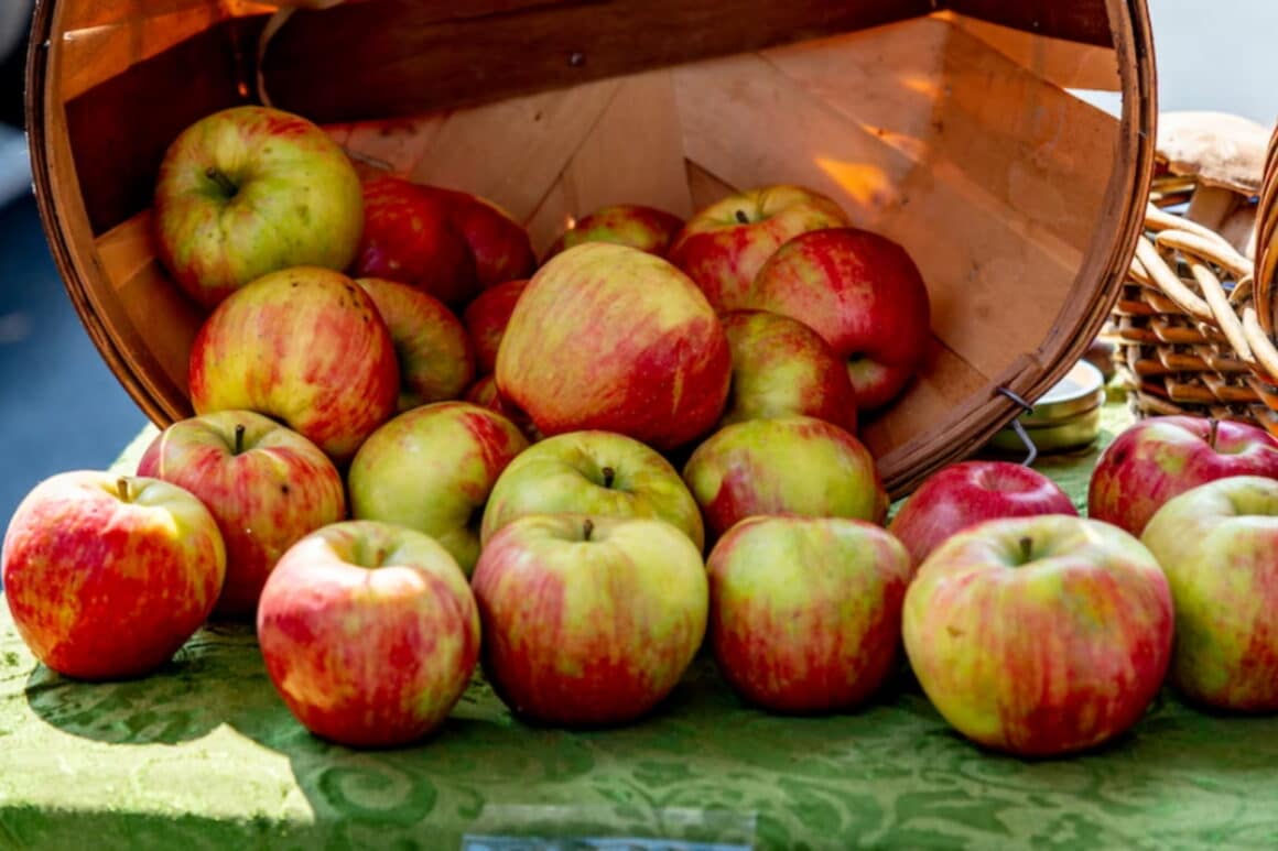 How Much Is a Bushel Compared to Other Units?