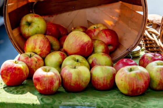 How Much Is a Bushel Compared to Other Units?